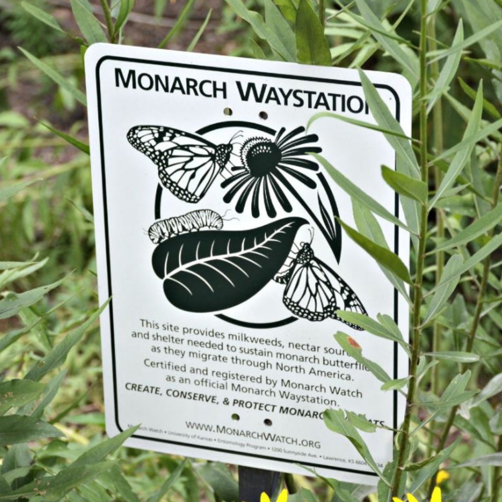 Monarch Butterfly Waystation | Garden Path Homemade Soap